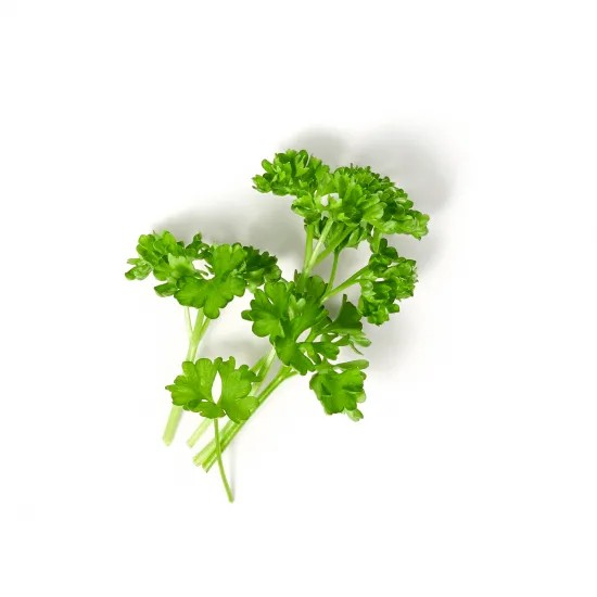 Pătrunjel - FRoSTA.ro